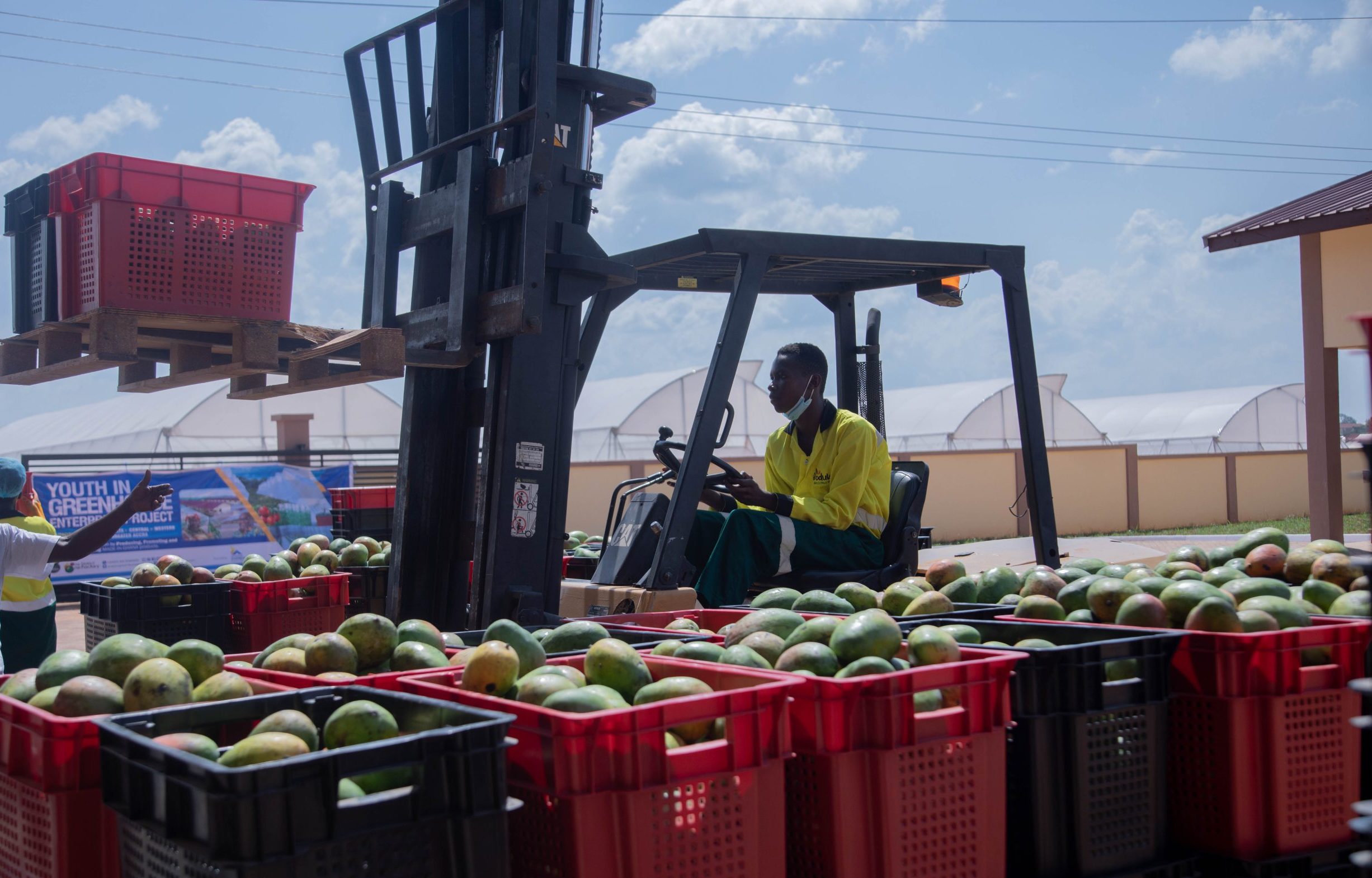 Ghana EXIM Bank | Transforming Ghana's International Trade